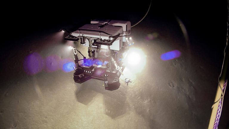 Gallery – Global Foundation for Ocean Exploration